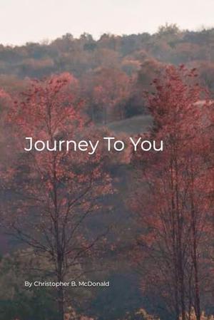 Journey To You by Christopher Blake McDonald, Taylor Greatbatch, Stevie ...