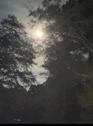 SHADOW MOON by debbie smoak, CINDY MEDDERS