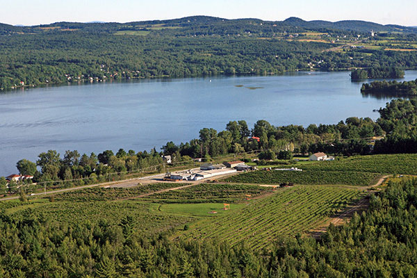 Top 10 des plus beaux vignobles du Québec - Véronique Cloutier
