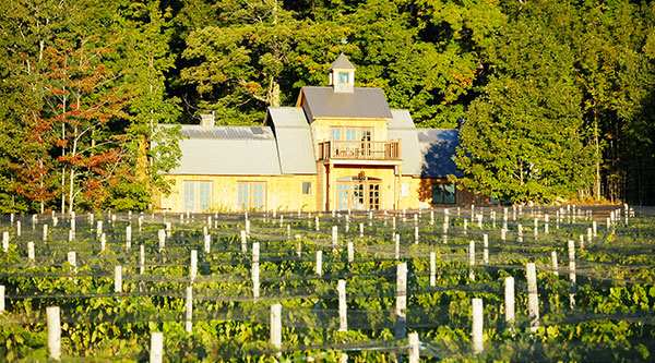 Top 10 des plus beaux vignobles du Québec - Véronique Cloutier
