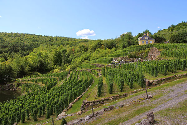 Top 10 des plus beaux vignobles du Québec - Véronique Cloutier