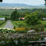 Top 10 des plus beaux vignobles du Québec - Véronique Cloutier