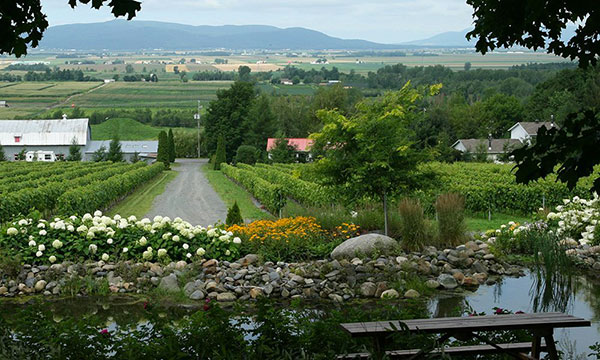 Top 10 des plus beaux vignobles du Québec - Véronique Cloutier