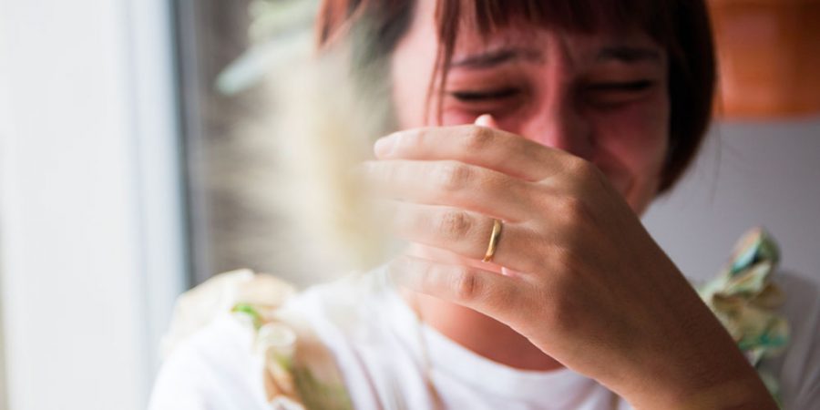 5 bonnes raisons de pleurer - Véronique Cloutier