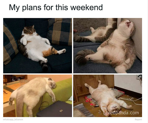 15 mèmes rigolos sur la crise de la COVID-19 - Véronique Cloutier