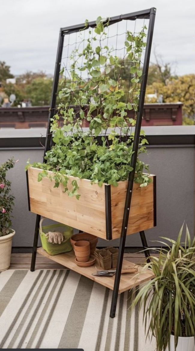 15 inspirations de potagers et jardins de balcon - Véronique Cloutier