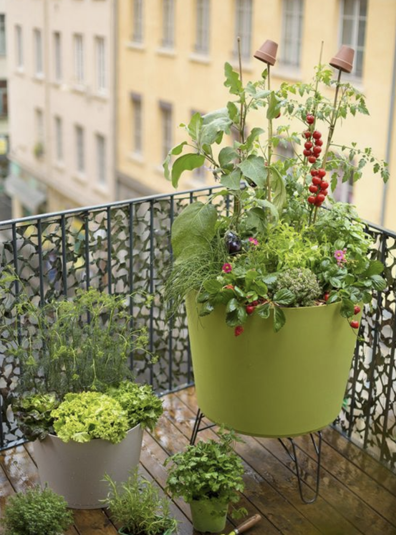 15 inspirations de potagers et jardins de balcon - Véronique Cloutier