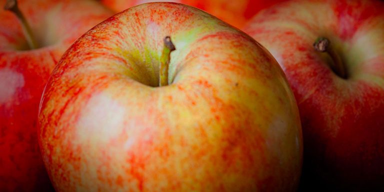Quelle pomme pour quel usage? - Véronique Cloutier