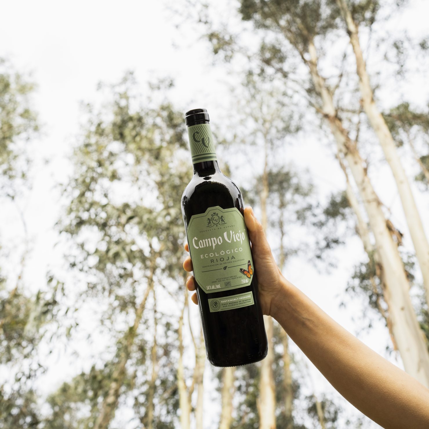 3 façons de déguster le nouveau vin bio Campo Viejo Ecológico