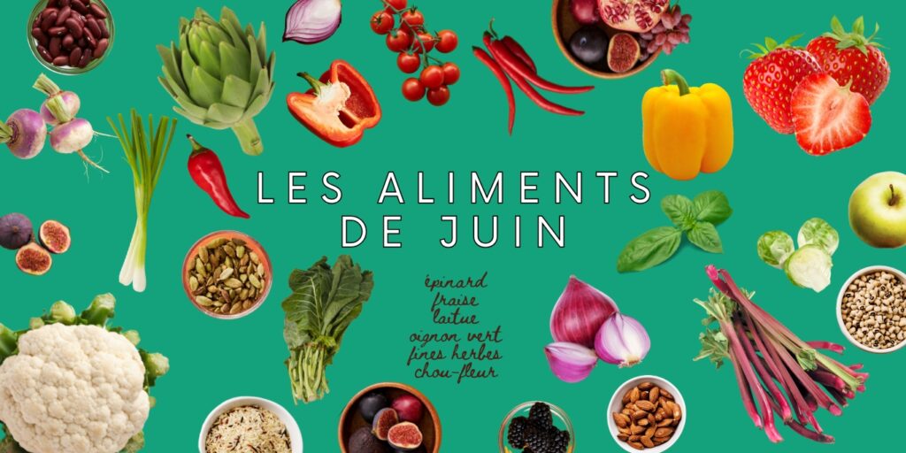 10 vins rouges légers à savourer sous le soleil d’automne