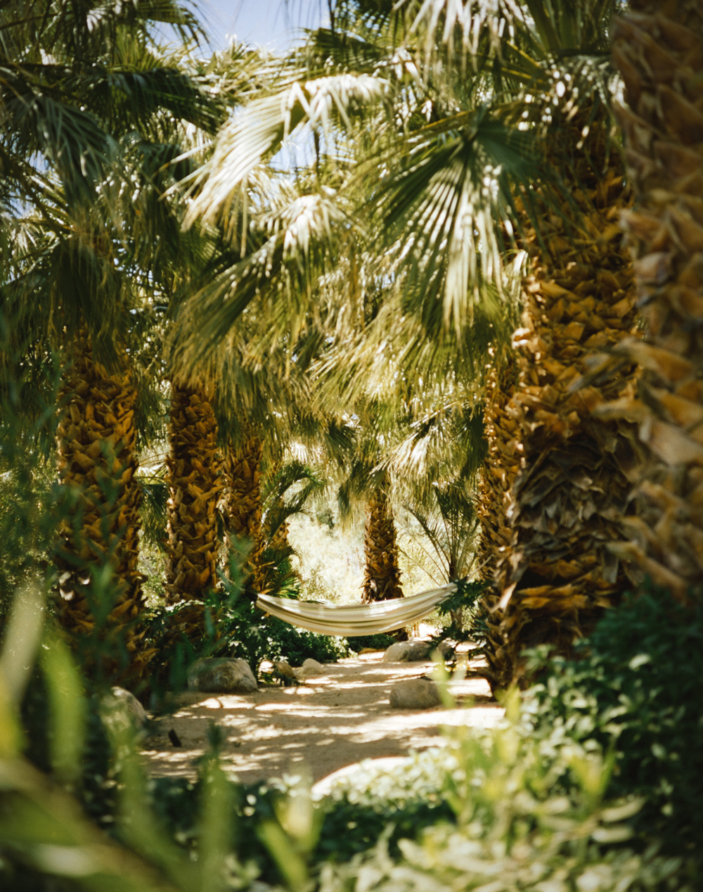 Road trip : un voyage au cœur de Palm Springs avec Mazda