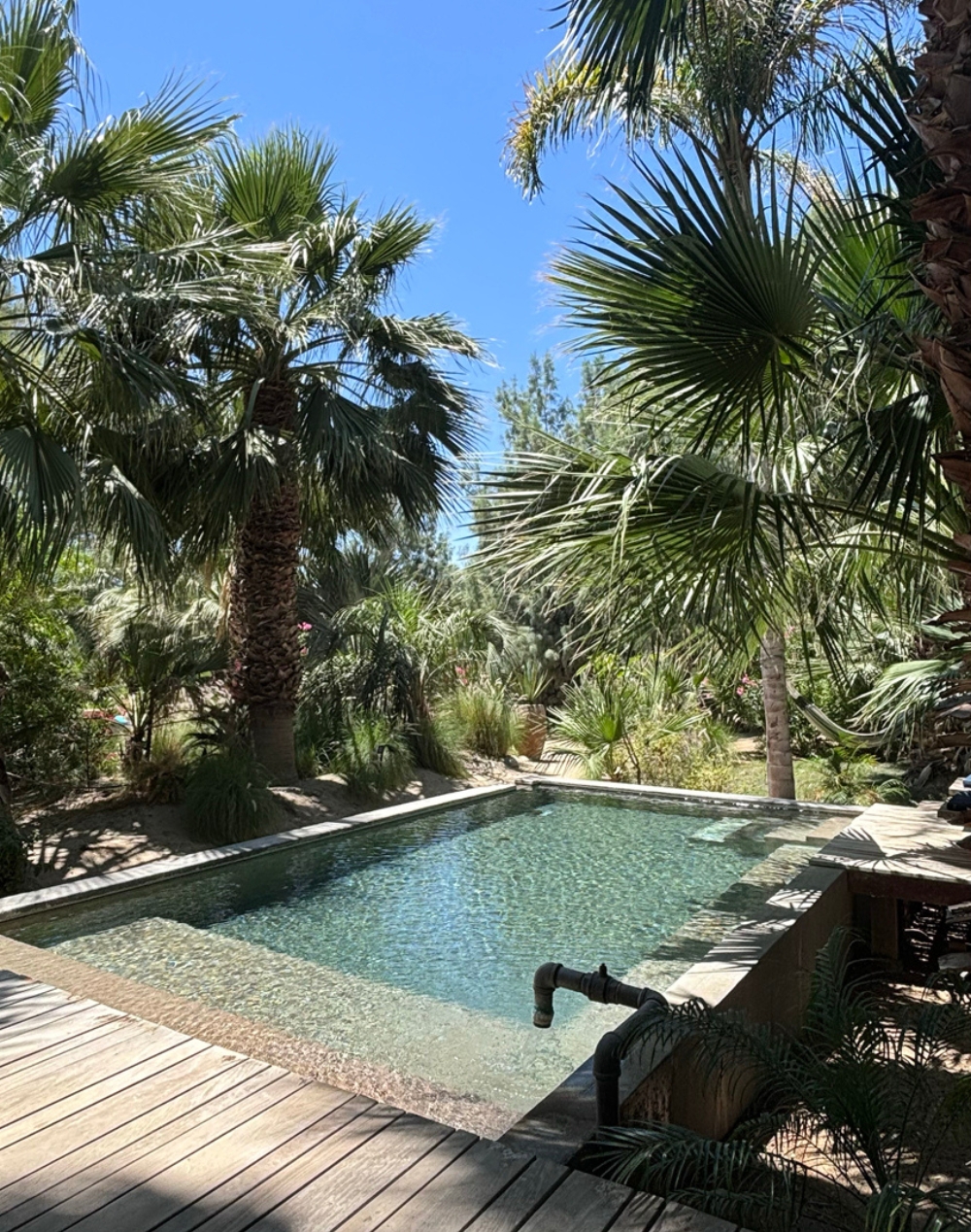 Road trip : un voyage au cœur de Palm Springs avec Mazda