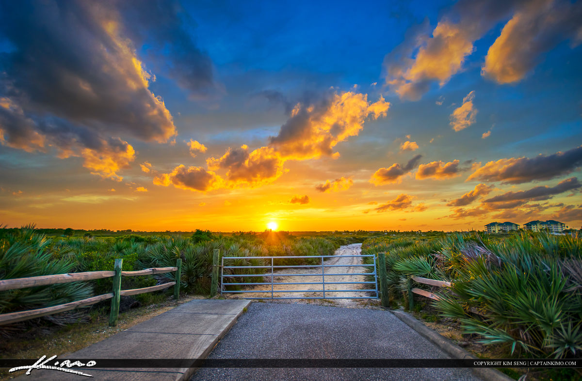 Sunset at Juno Beach Dunes at Gate | Royal Stock Photo