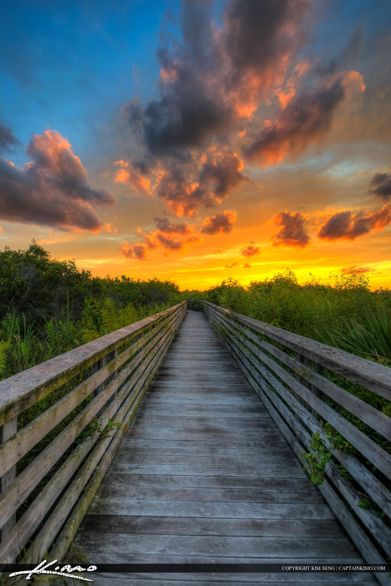 Beach Boardwalk Landscape