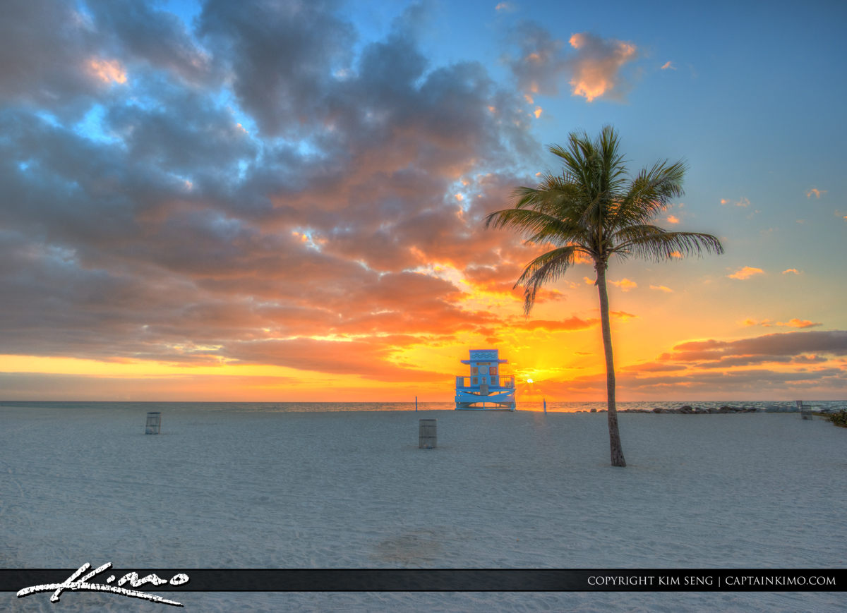 Haulover Park Florida Coconut Tree and Guard Tower | Royal Stock Photo