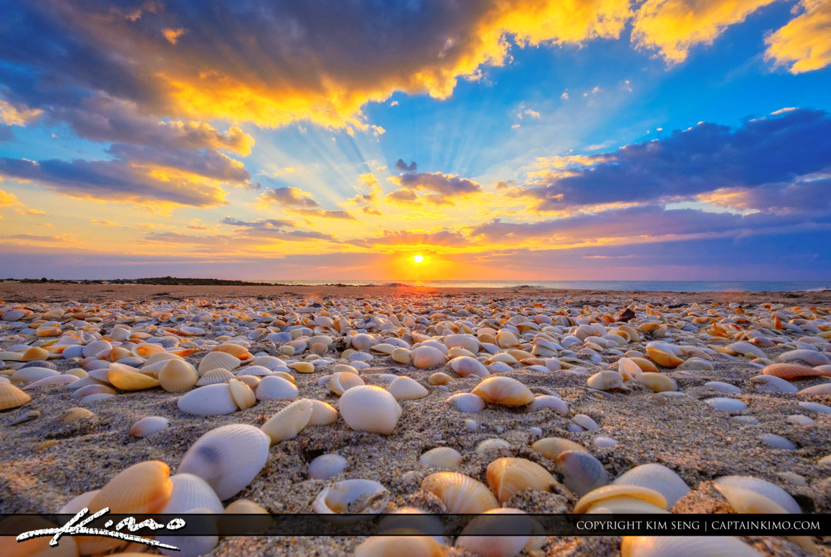 ocean reef park | Product Tags | Royal Stock Photo | Page 2