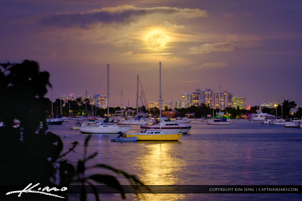 Full Moon Rise Watson Island Marina Miami Florida | Royal Stock Photo