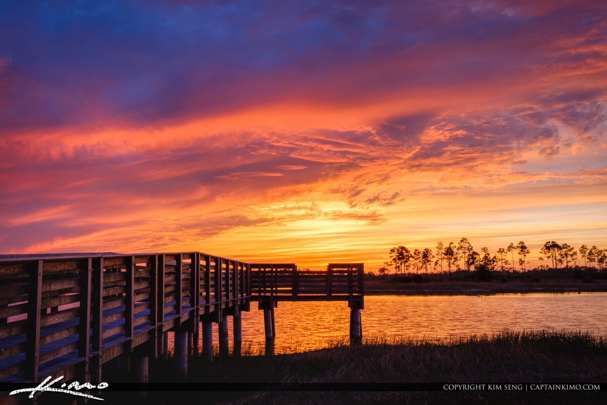 Pine Glades Natural Area Sunset Jupiter Florida | Royal Stock Photo
