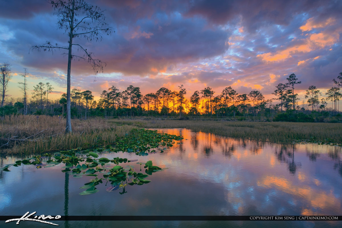 Cypress Creek South Natural Area Kayaking River | Royal Stock Photo