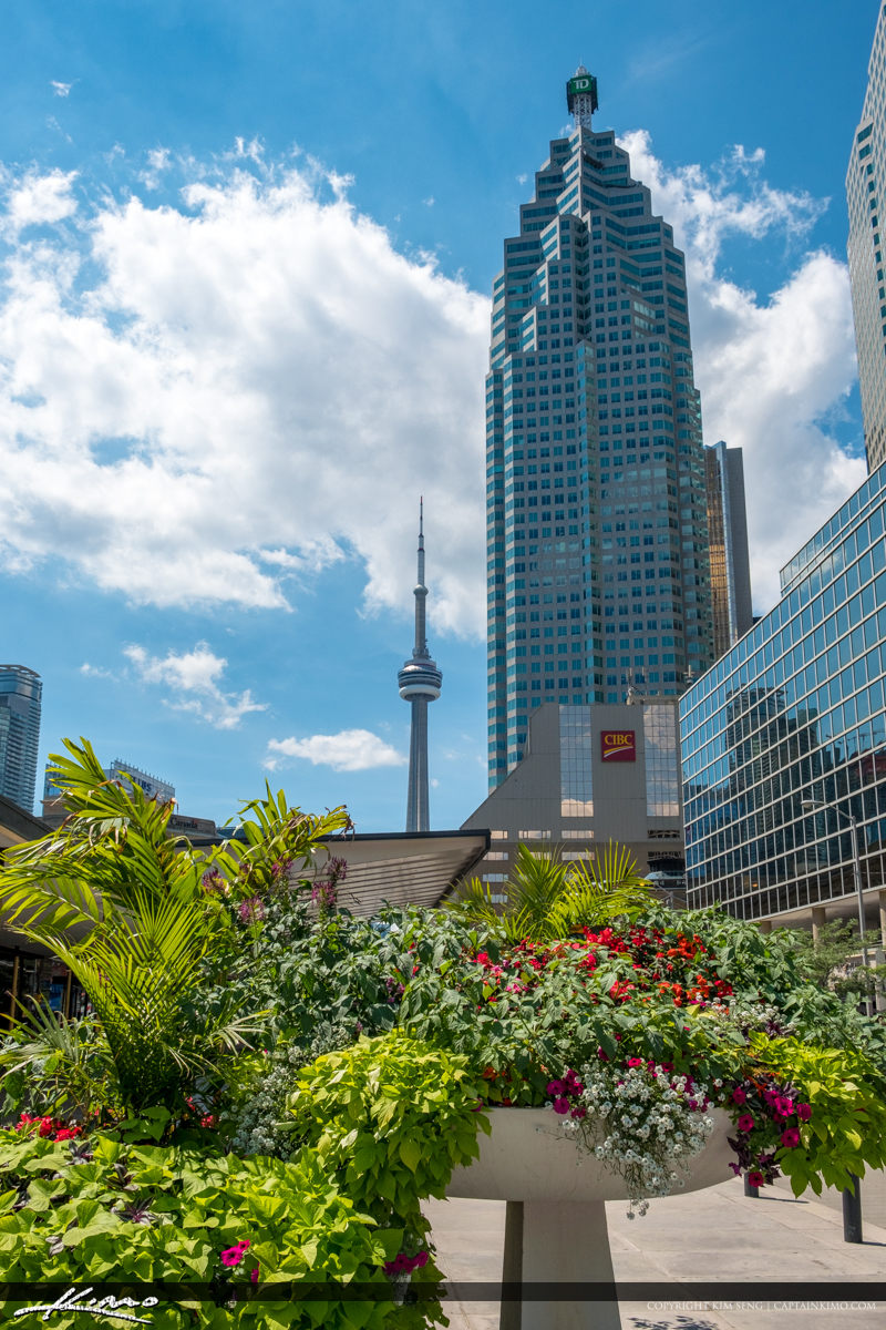 Downtown Toronto | Product Tags | Royal Stock Photo