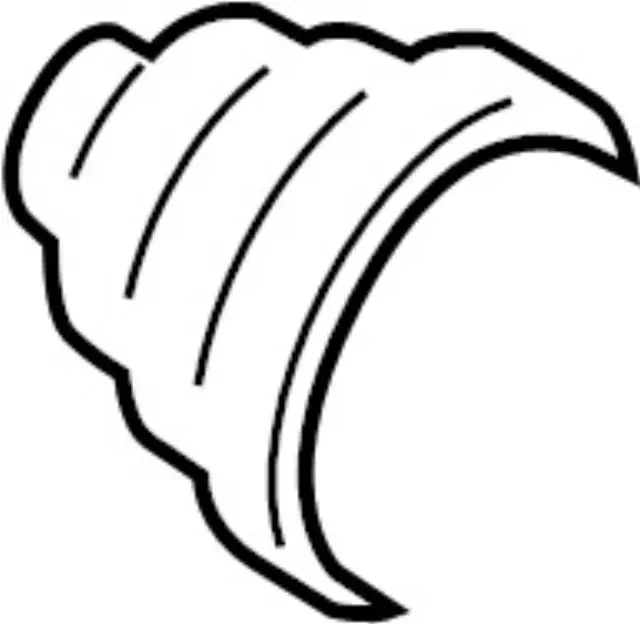 Repair Kit - Dust Boot, Rear Drive Shaft C9741-6SA1A | Faulkner ...