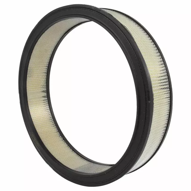 Buy Genuine OEM Air Filters Online | Platinum Ford Parts