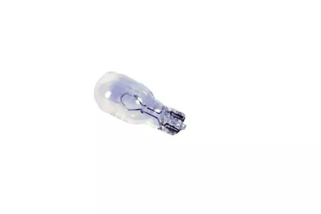 2010-2025 GM W16W Bulb 13503360 GM | GMPartsDirect.com
