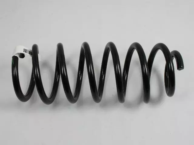 Dodge Charger Coil Springs | QuirkParts