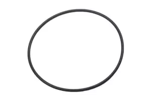 2015-2023 GM Water Pump Cover Seal 12643779 | GMPartsDirect.com