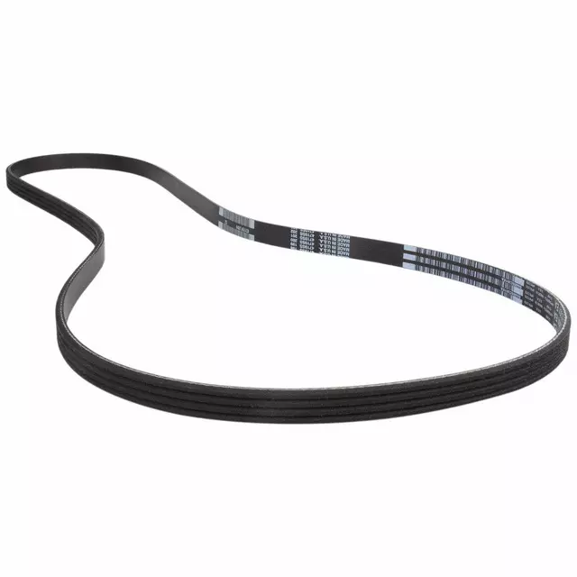 Ford Belts At Discount Prices | OEM Parts Online