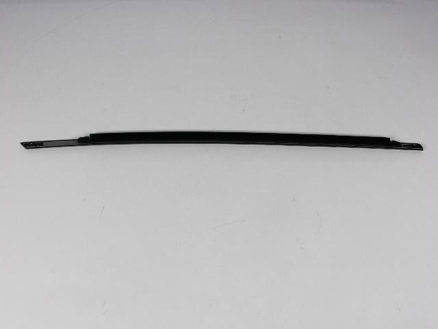 2011-2023 Dodge Charger Front Door Belt Weatherstrip, Left, Outer ...
