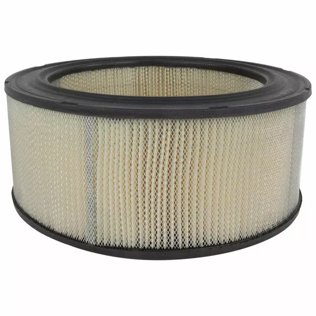 Buy Genuine OEM Air Filters Online | Platinum Ford Parts