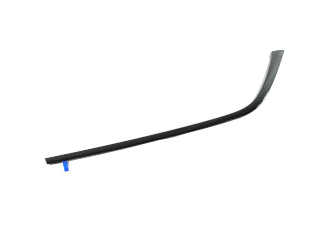 2014-2023 Chrysler 300 Day Light Opening Molding, Right 68224370AG ...