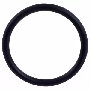 Genuine OEM Ford Part - Thermostat Housing O-Ring HL3Z-8527-B | Genuine ...