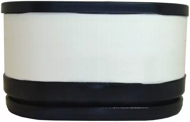 Shop GM Air Filters Online | GMPartsDirect.com