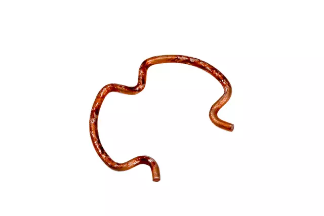 Limited Slip Differential Clutch Pipe Connector Spring 13280087 | Chevy ...