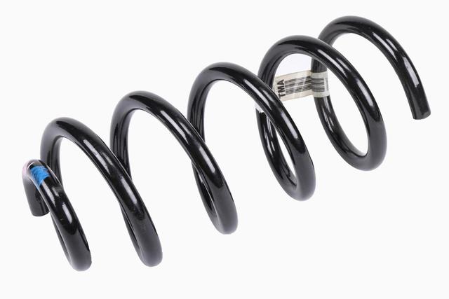 Shop Coil Springs - GM Genuine Parts | GMPartsDirect.com