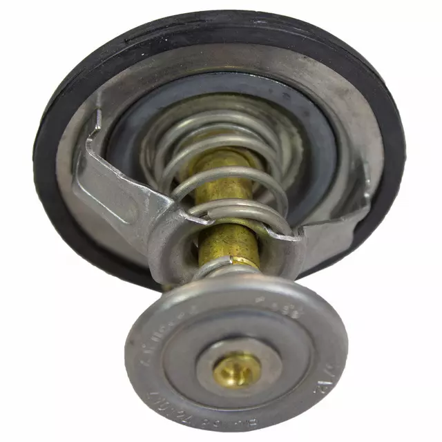 Shop Genuine OEM Thermostats | Ford Parts Direct