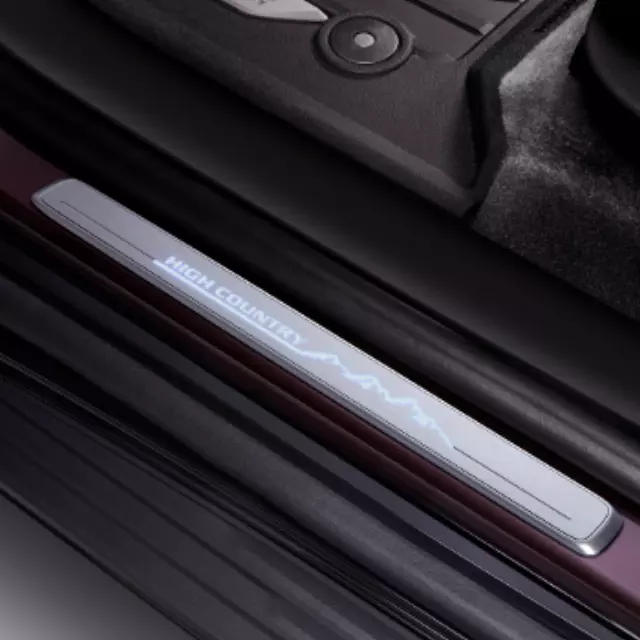 GM Door Sills and Sill Plates For Sale Online | Chevrolet Parts Canada