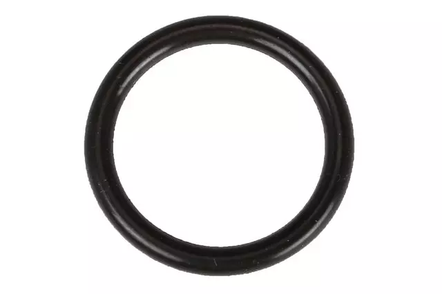 Automatic Transmission Oil Level Check Plug Seal (O-Ring) 24277807 GM ...
