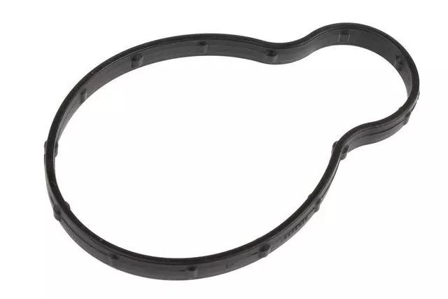 2016-2024 GM Water Pump Seal 12646952 GM | GMPartsDirect.com