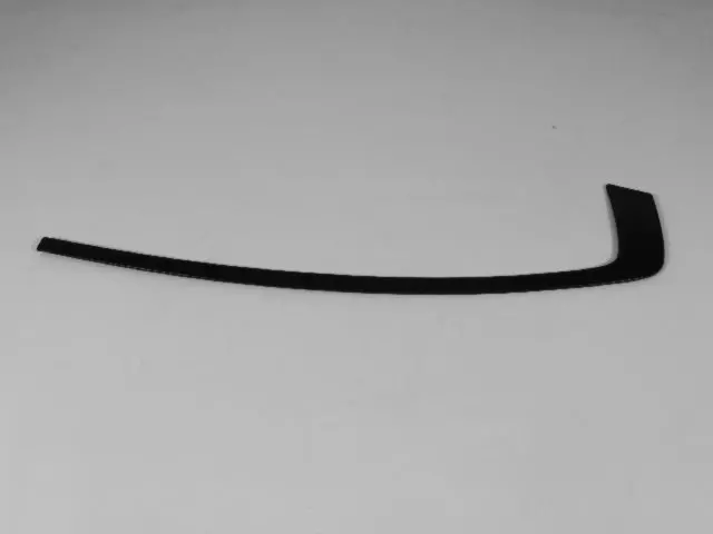 2011-2023 Dodge Charger Day Light Opening Molding, Right 57010506AN ...