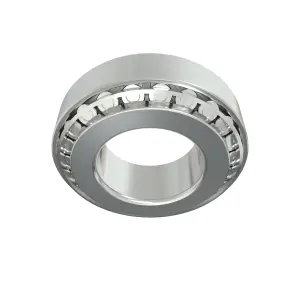 2011-2024 Ram Differential Side Bearing Kit 68340251AA | My Mopar Parts