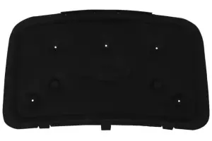 2015-2022 Chevrolet Colorado Hood Insulator 84108317 | GMPartsDirect.com