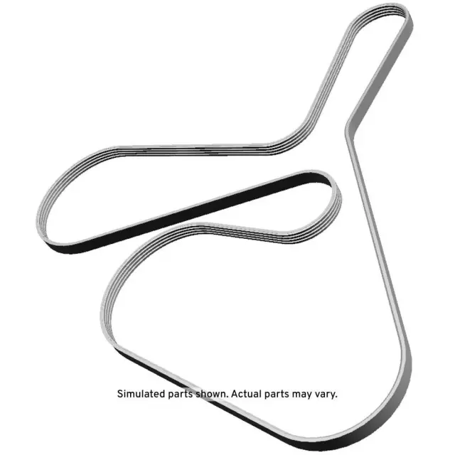 Shop Affordable GM Belts For All Brands and Models | Chevrolet Parts Direct