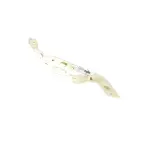 Front Bumper and Fascia for 2021 Dodge Charger | Mopar eStore