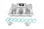 LSX-LS3 Single Plane Tall-Deck Carbureted Manifold 19244034 ...