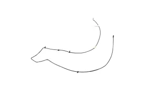 Quirk Parts | Genuine OEM Parts & Accessories | Manufacturer Warranty ...
