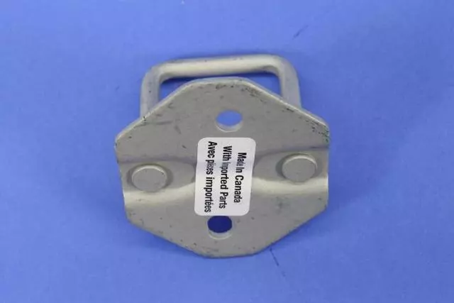 Hood and Hood Release for 2017 Dodge Charger | Mopar eStore