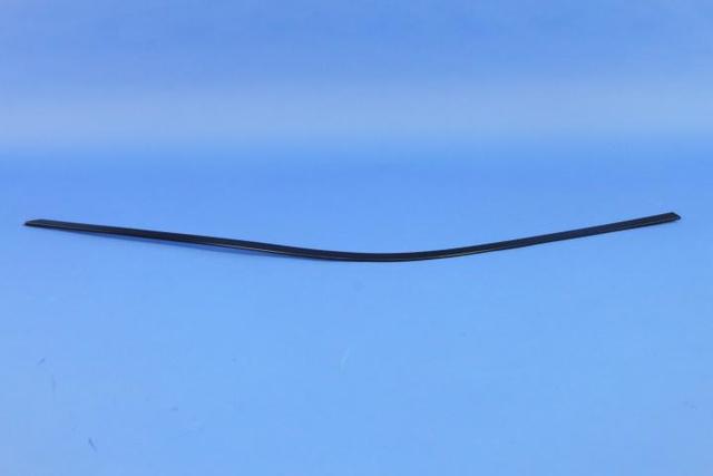 2014-2023 Chrysler 300 Day Light Opening Molding, Right 68224368AE ...